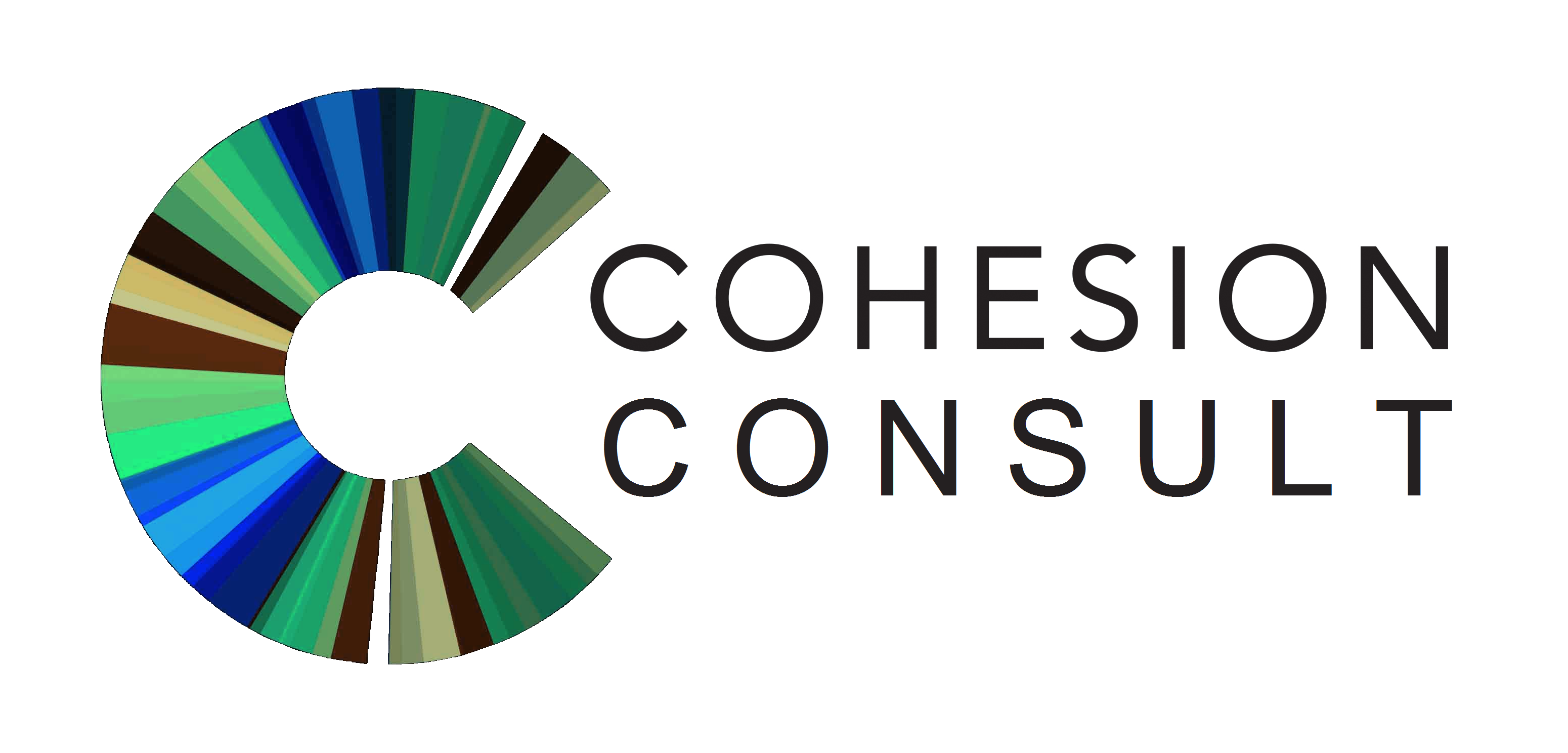 Home Page [cohesionconsult.com]